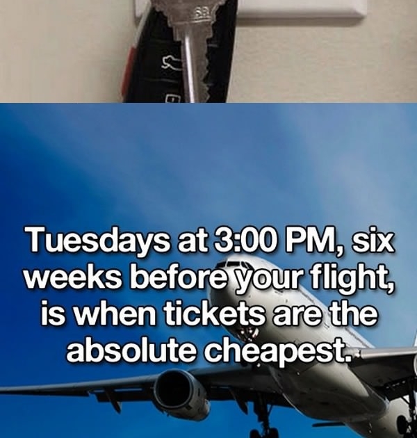 Everyday Life Tips everyday-life-tips